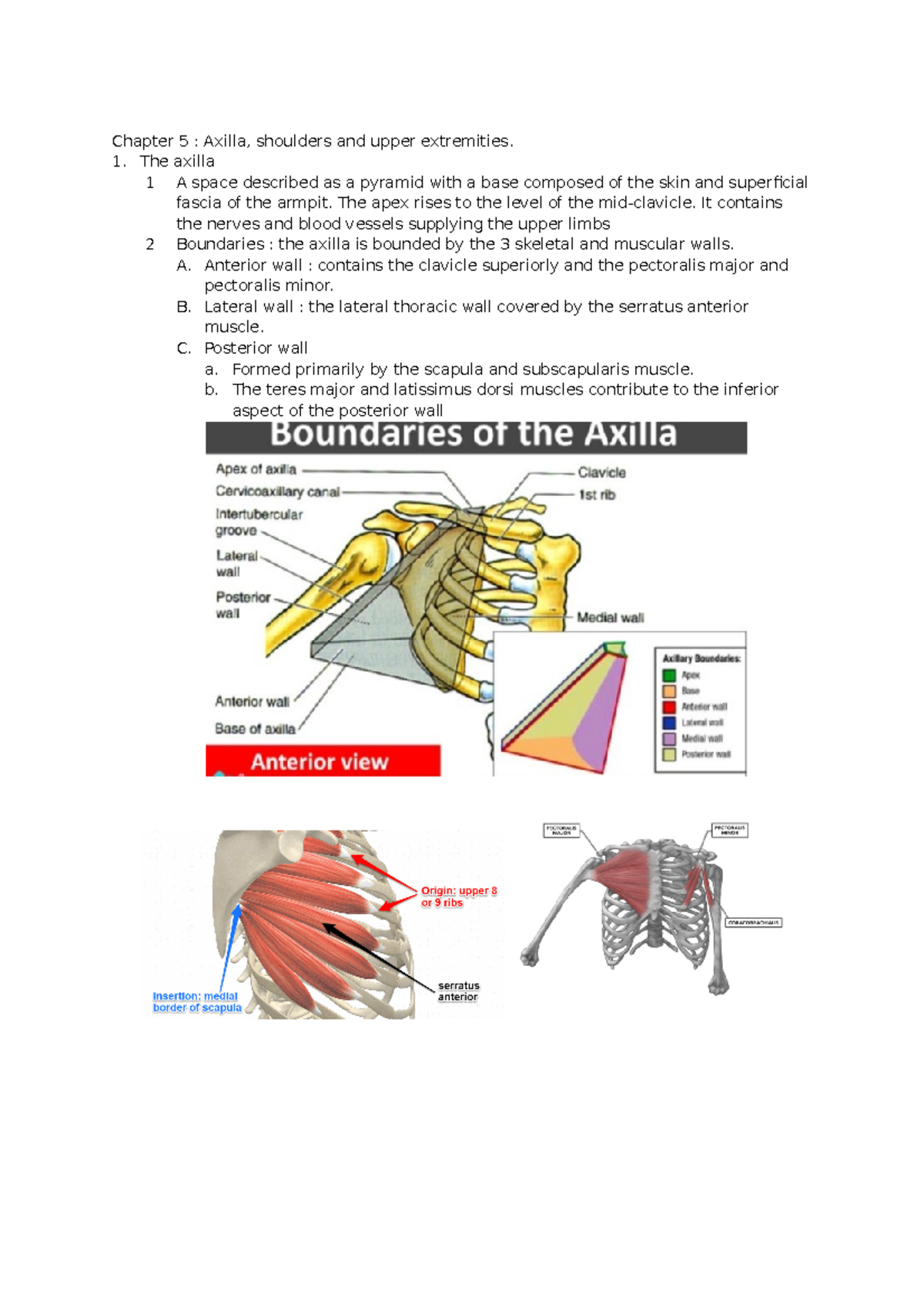 Chapter 5 Axilla, shoulder, and upper extrmities - Chapter 5 : Axilla ...