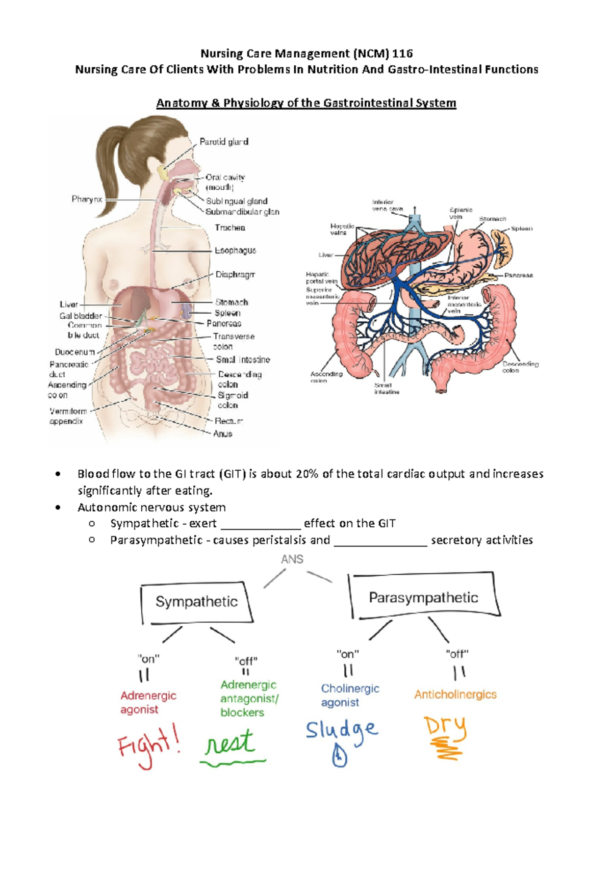 3) GI Nursing Process - MedSurg 2 - Nursing Care Management (NCM) 116 ...