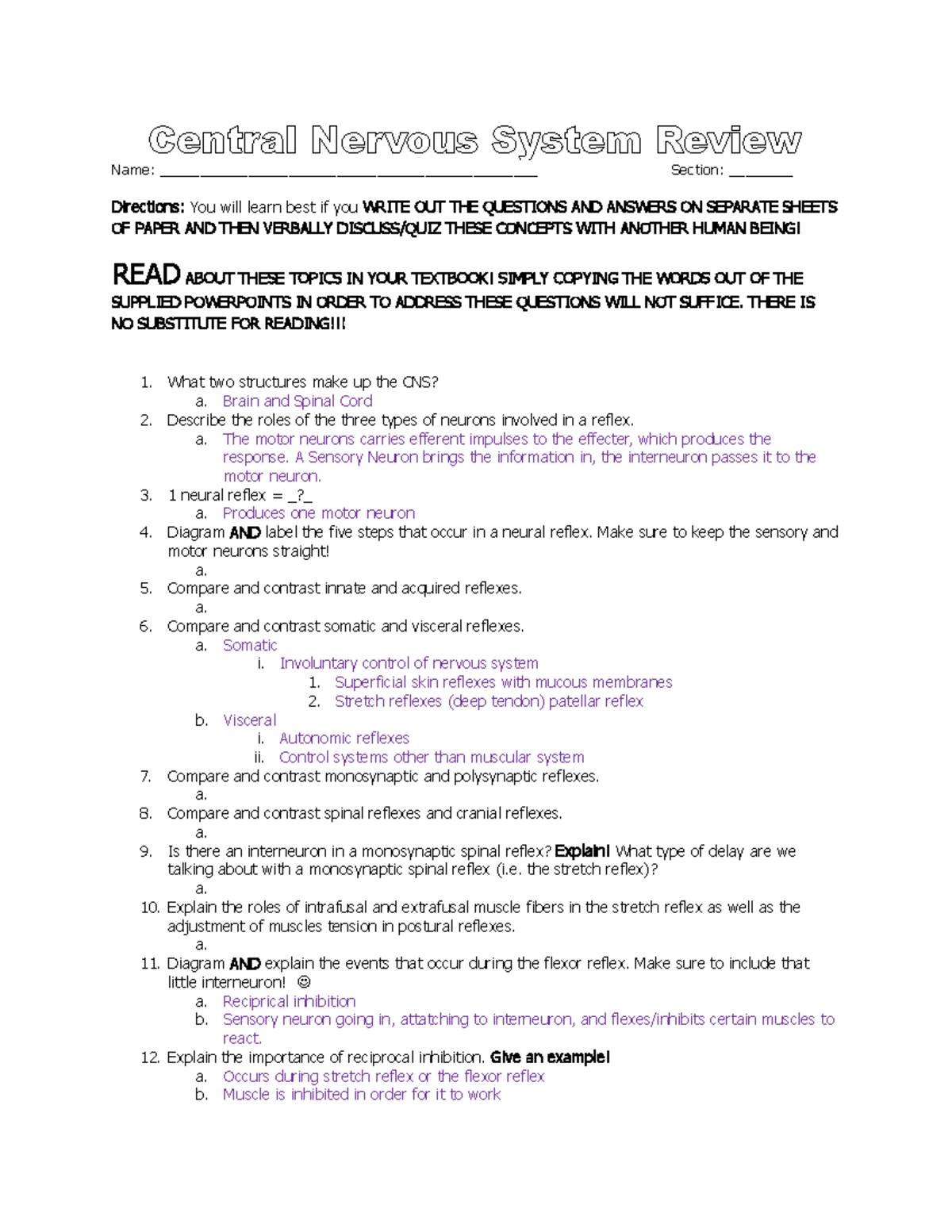 Central Nervous System Review Guide - Central Nervous System Review ...