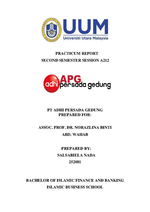 Practicum Report Writing Guidelines - Banking - STANDARD GUIDELINES FOR THE PRACTICUM REPORT ...