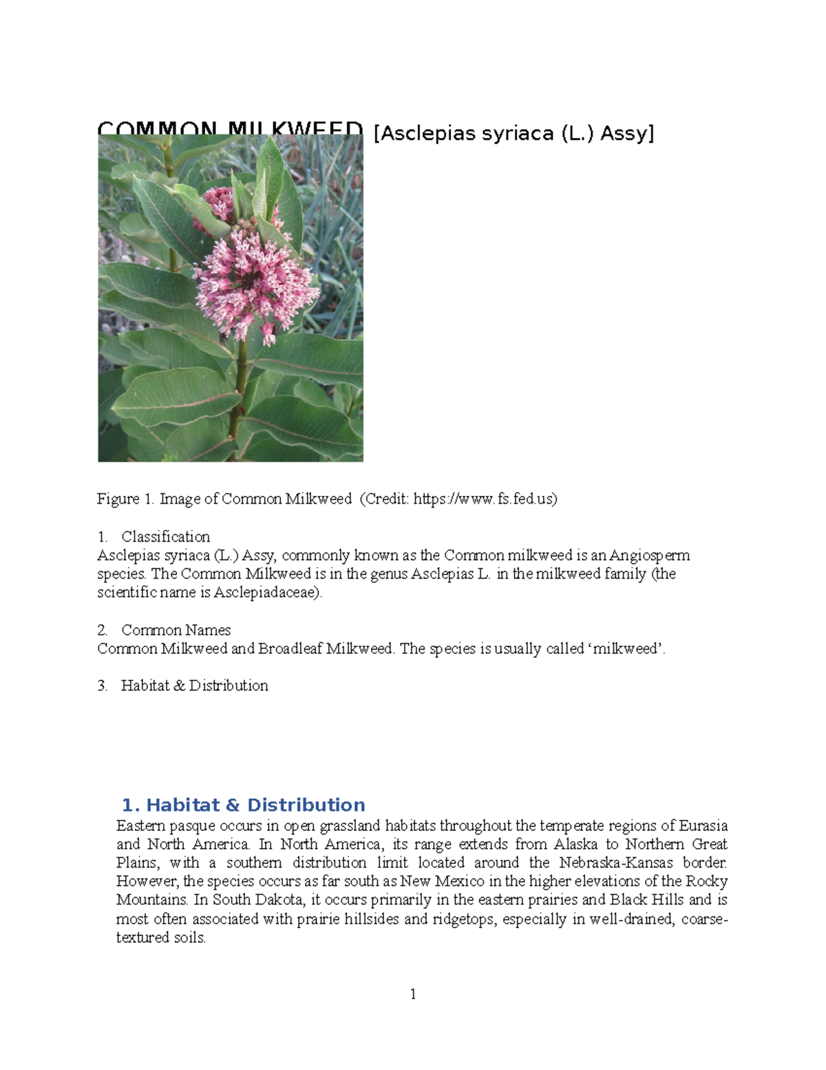 Plant Profile Common Milkweed - COMMON MILKWEED [Asclepias syriaca (L ...