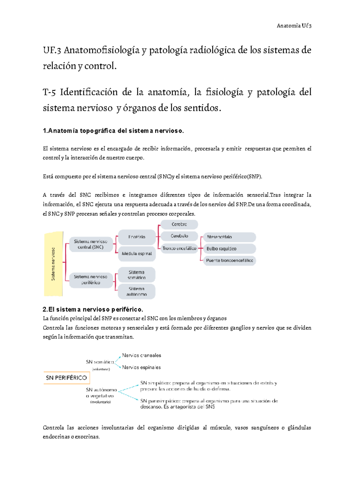 UF 3 Anatomia - UF Anatomofisiología y patología radiológica de los ...