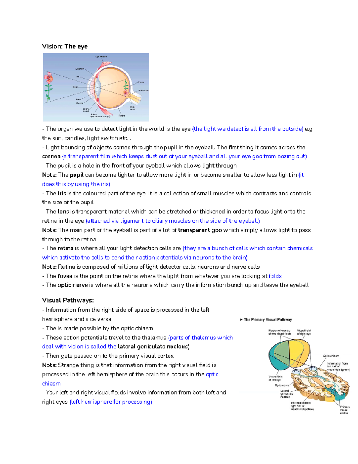 Week 10 Perception - Vision: The eye The organ we use to detect light ...