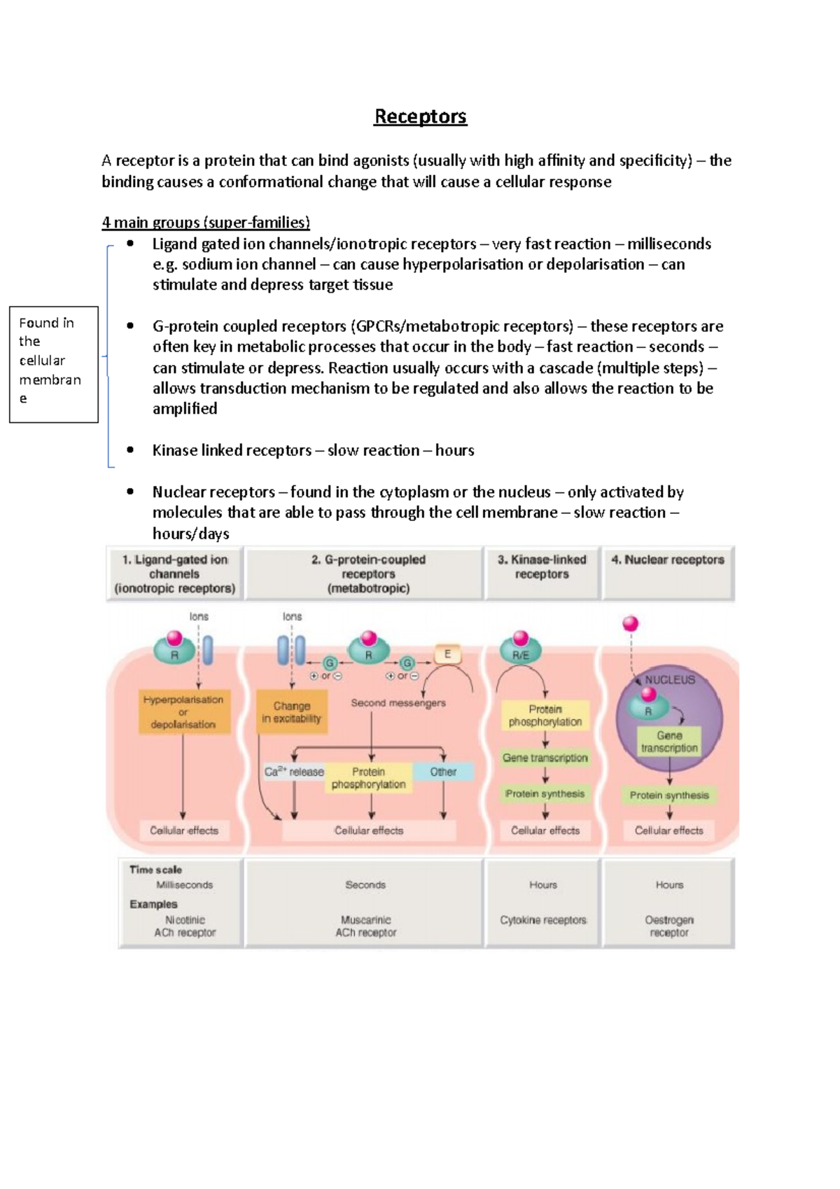 Receptors - Lt 2 - Lecture notes 2 - Receptors A receptor is a protein ...