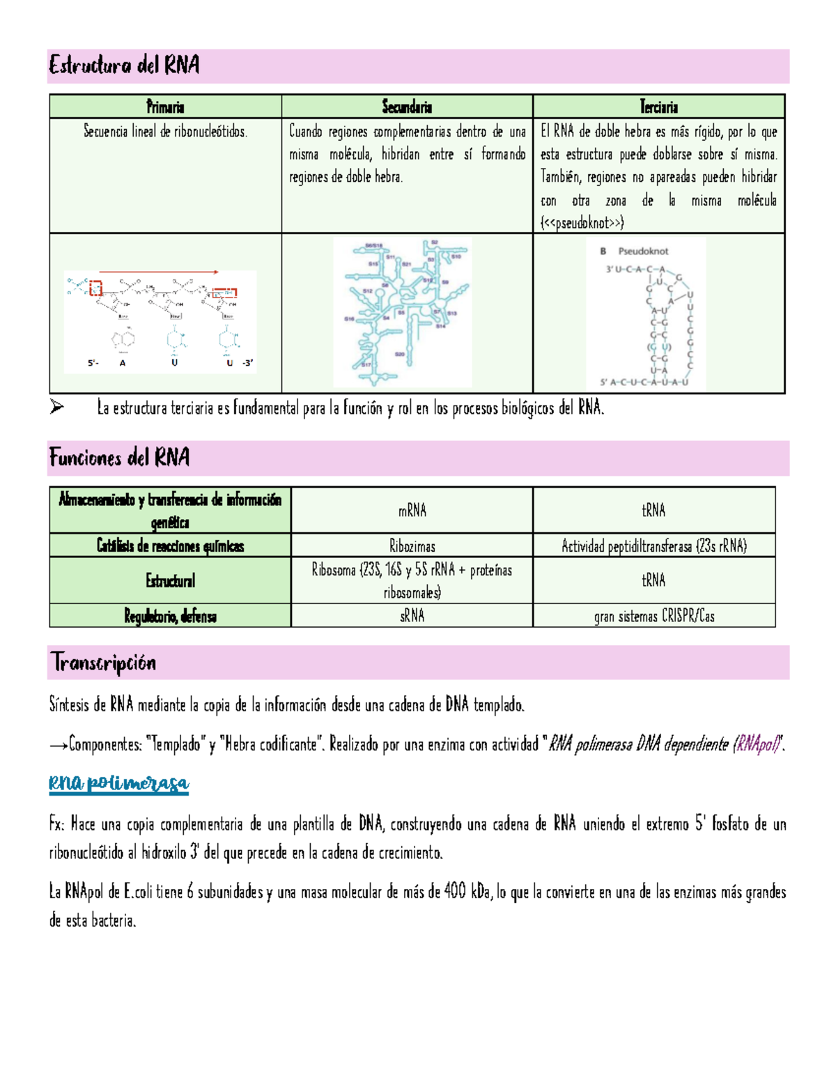 Solemne 2 MicroMol - Primaria Secundaria Terciaria Secuencia lineal de ...