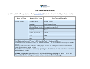 CJ 112 Project One Template - How the Criminal Justice System Works in ...