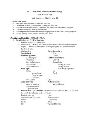 Lab 9 The Brain and Cranial Nerves online - BI 231 – Human Anatomy ...