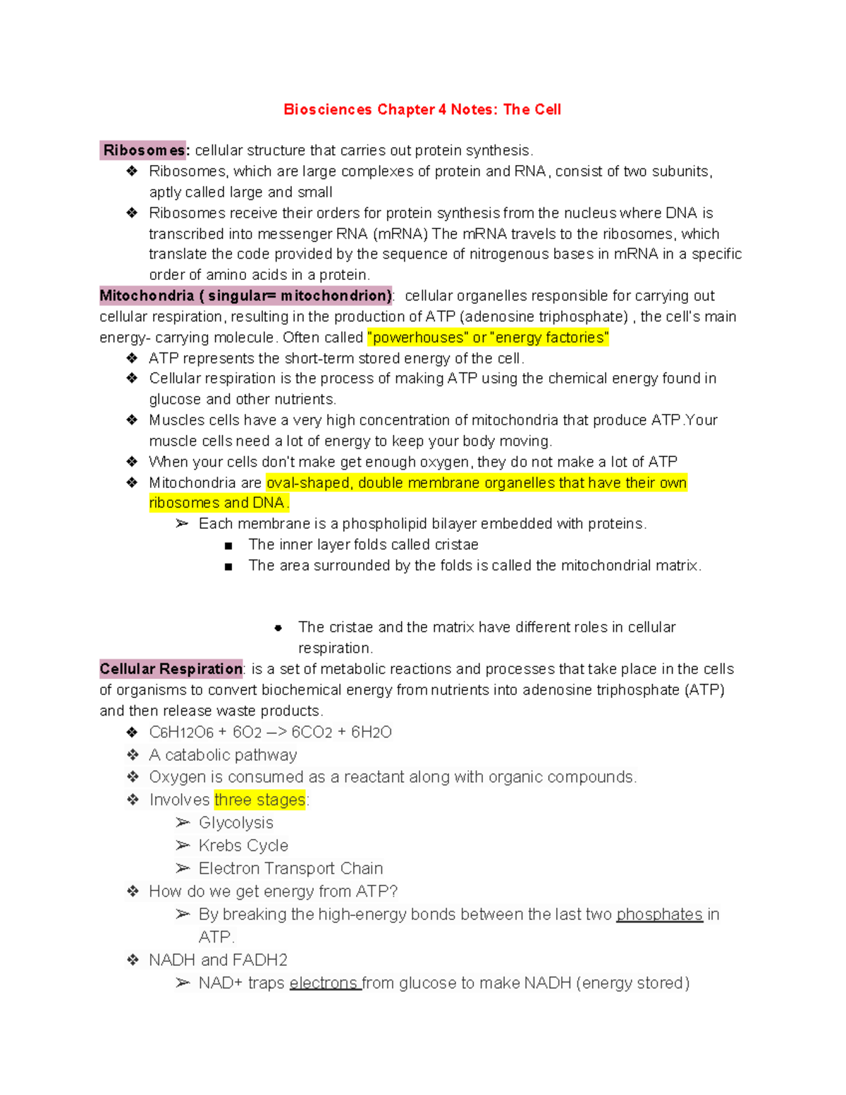 Chapter4TheCell - Biosciences Chapter 4 Notes: The Cell Ribosomes ...