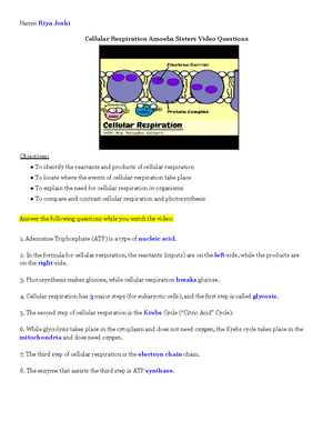 13 Cellular Respiration-KEY - Cell membrane NAD NAD! = pyruvic acid (3 C) = glucose (6 C ...