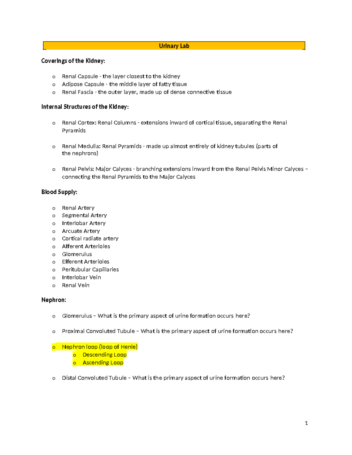 Urinary System Lab - kin - 1 Urinary Lab Coverings of the Kidney: o Renal Capsule - the layer ...