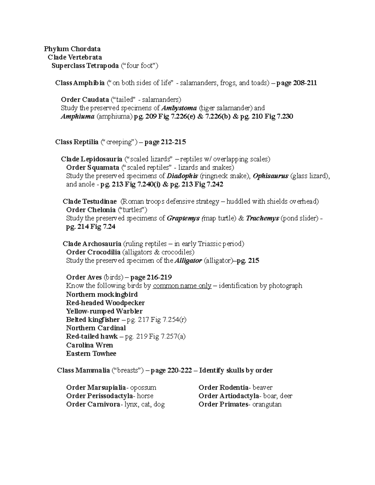 Lab 5 part 2 - BIO L101 - Phylum Chordata Clade Vertebrata Superclass ...
