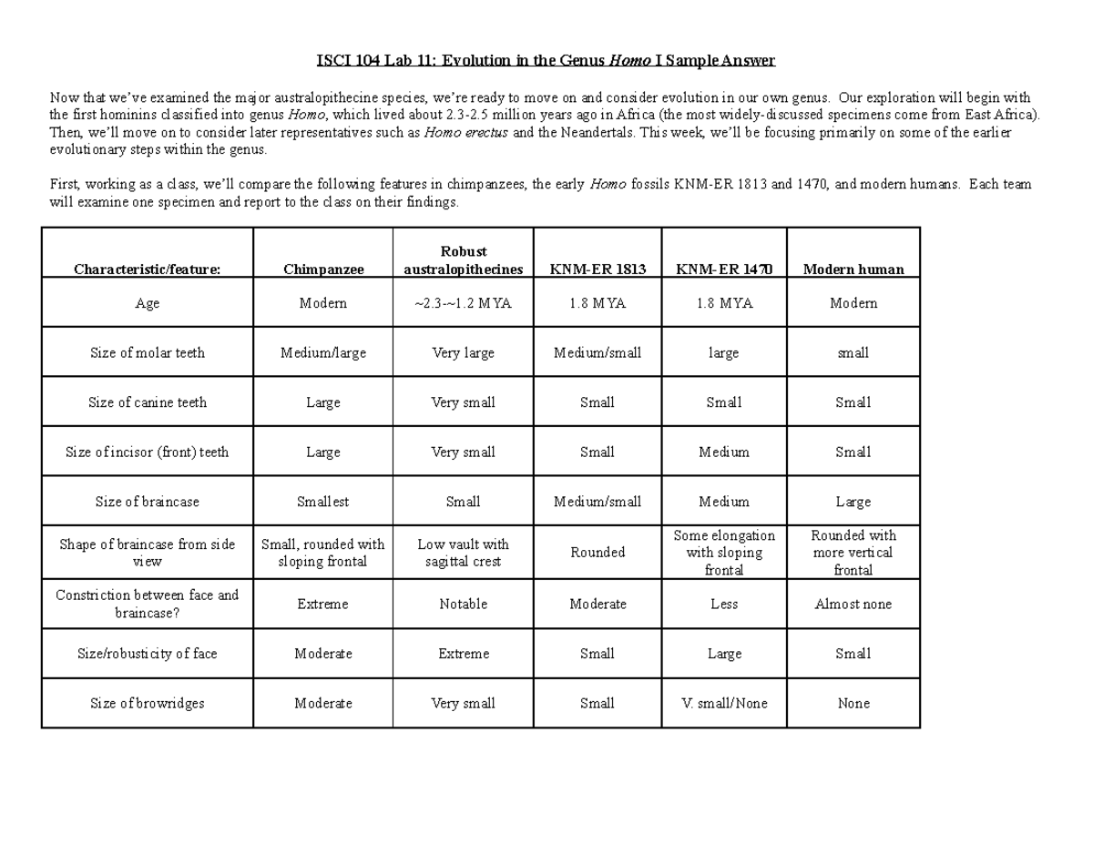 ISCI 104 Lab 11 Early Evolution Genus Homo Sample Answer - ISCI 104 Lab ...