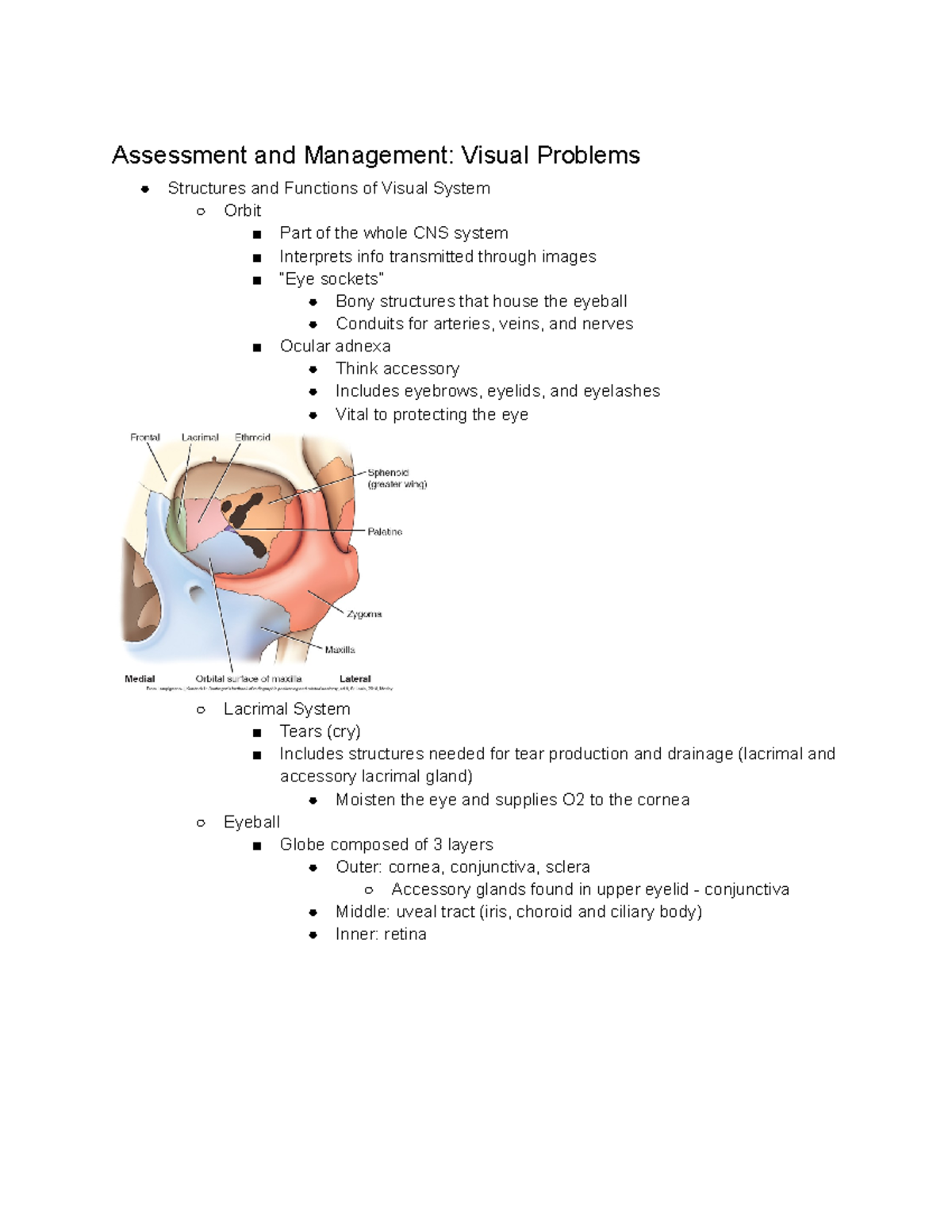 NUR 206 Visual - Assessment and Management: Visual Problems Structures ...