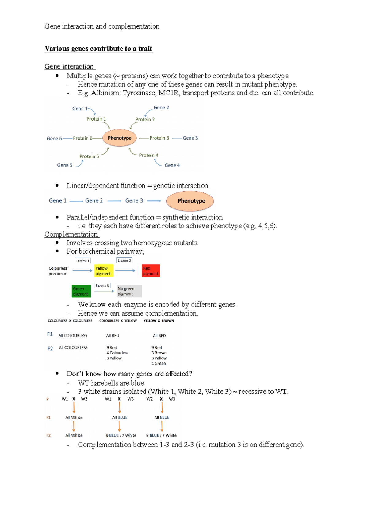 Gene Interaction and Complementation - Various genes contribute to a ...