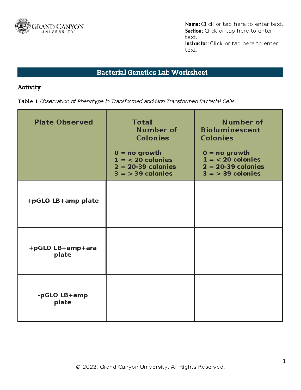 BIO 205L RS T4 - Lab worksheet - Section: Click or tap here to enter ...