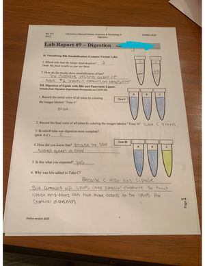 BIO151+Lab+%233+Report - BIO151 Laboratory Manual Human Anatomy ...