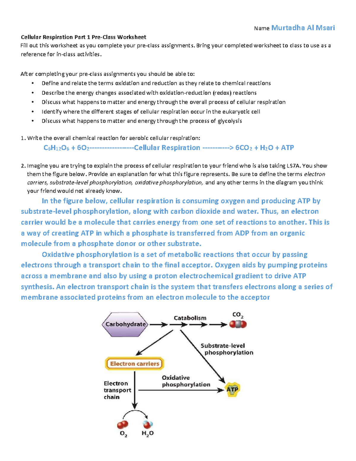 Life Science 7A - Professor Pham - Cellular Respiration Part 1 - Name ...