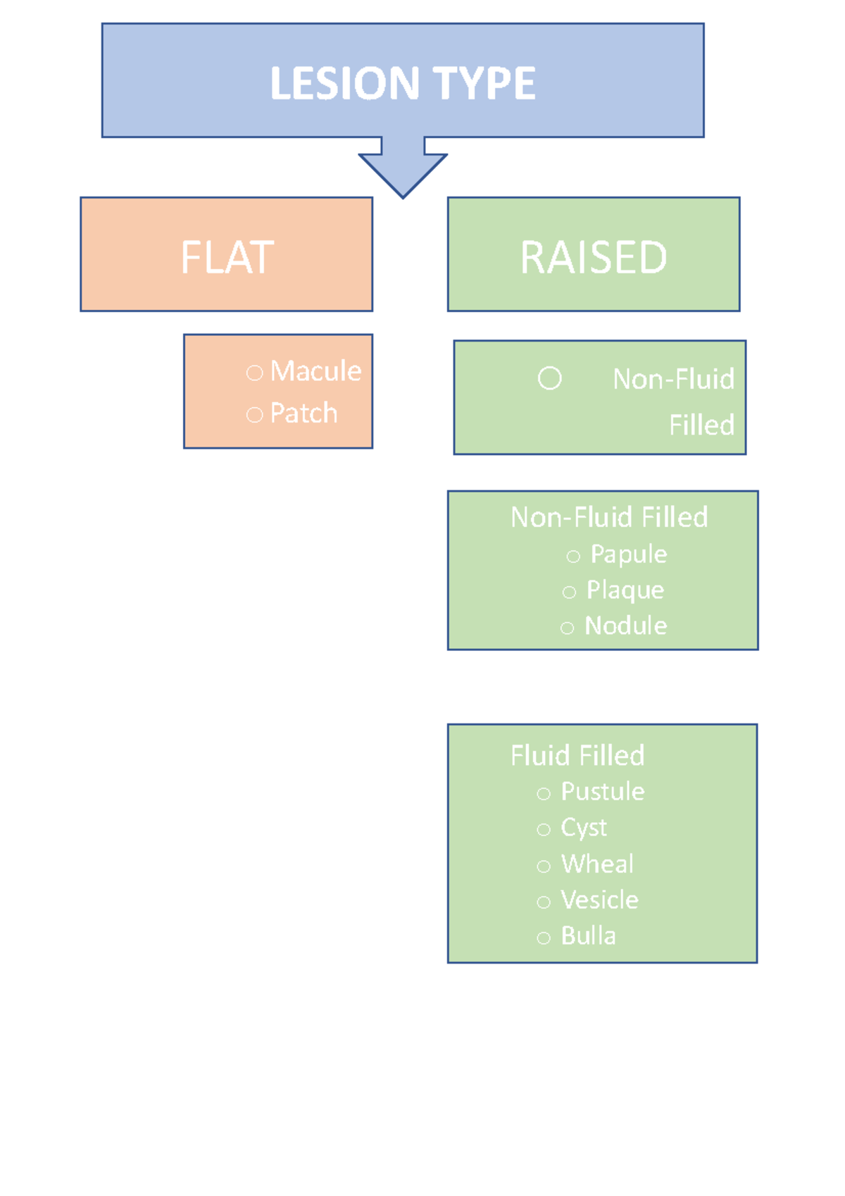 Derm Lesion Lob - Fluid Filled o Pustule o Cyst o Wheal o Vesicle o ...