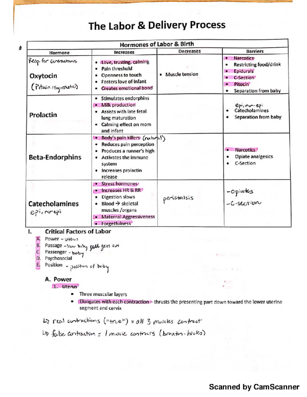 The Labor and Delivery Process - NURS 3025 - Studocu