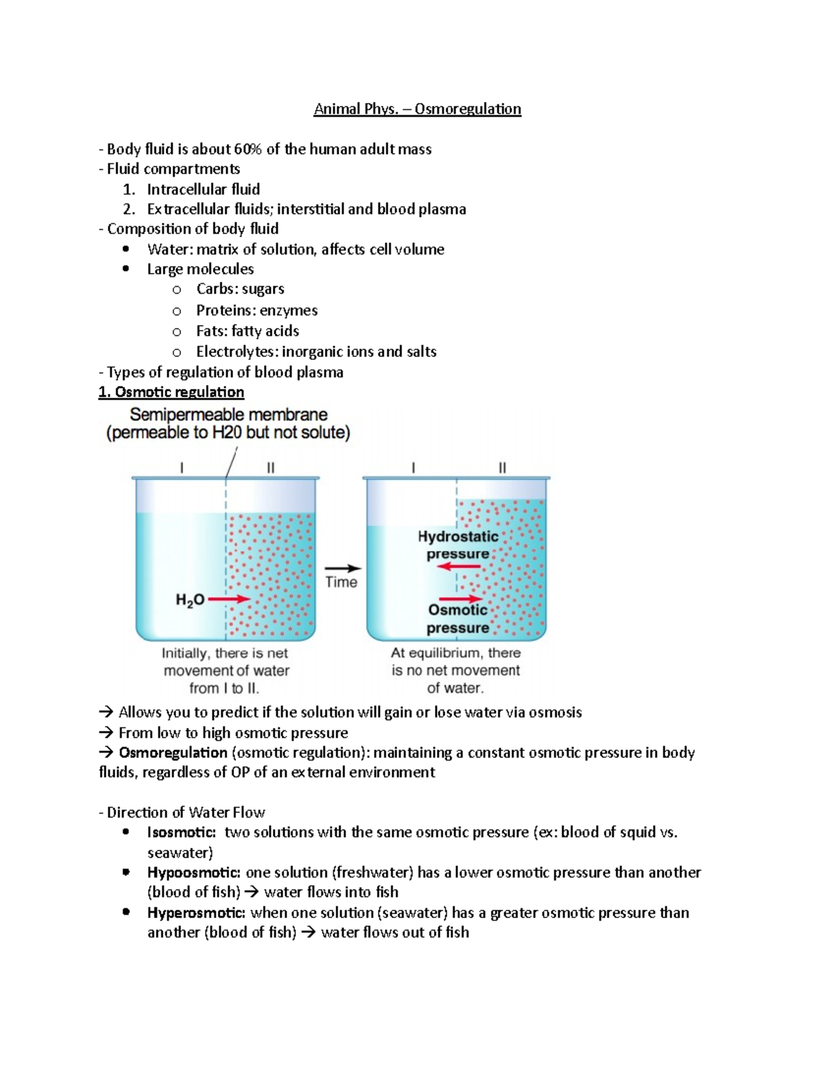 Animal Phys - Osmoregulation - Animal Phys. – Osmoregulation Body fluid ...