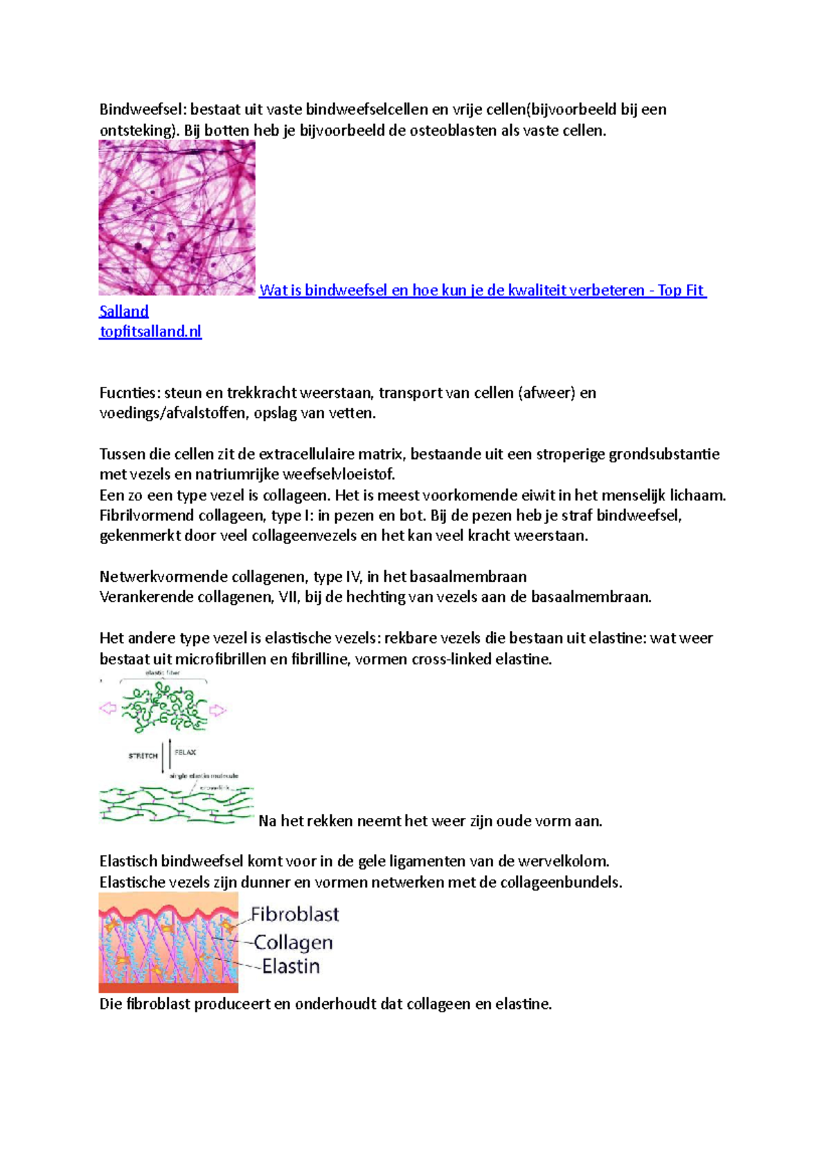 Bindweefsel - Bij botten heb je bijvoorbeeld de osteoblasten als vaste ...