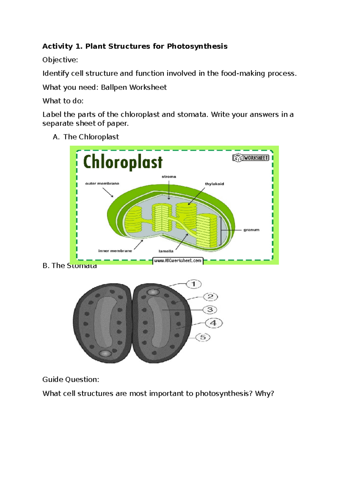 Activity 1 Intro in Photosynthesis - Science 10 - Activity 1. Plant ...
