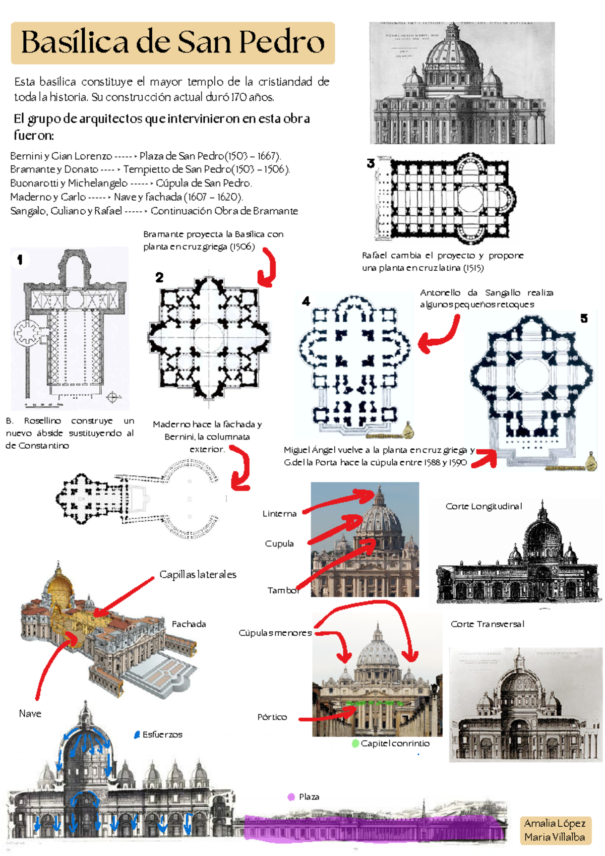 Basilica de San Pedro - Bramante proyecta la Basílica con planta en cruz griega (1506) Miguel ...