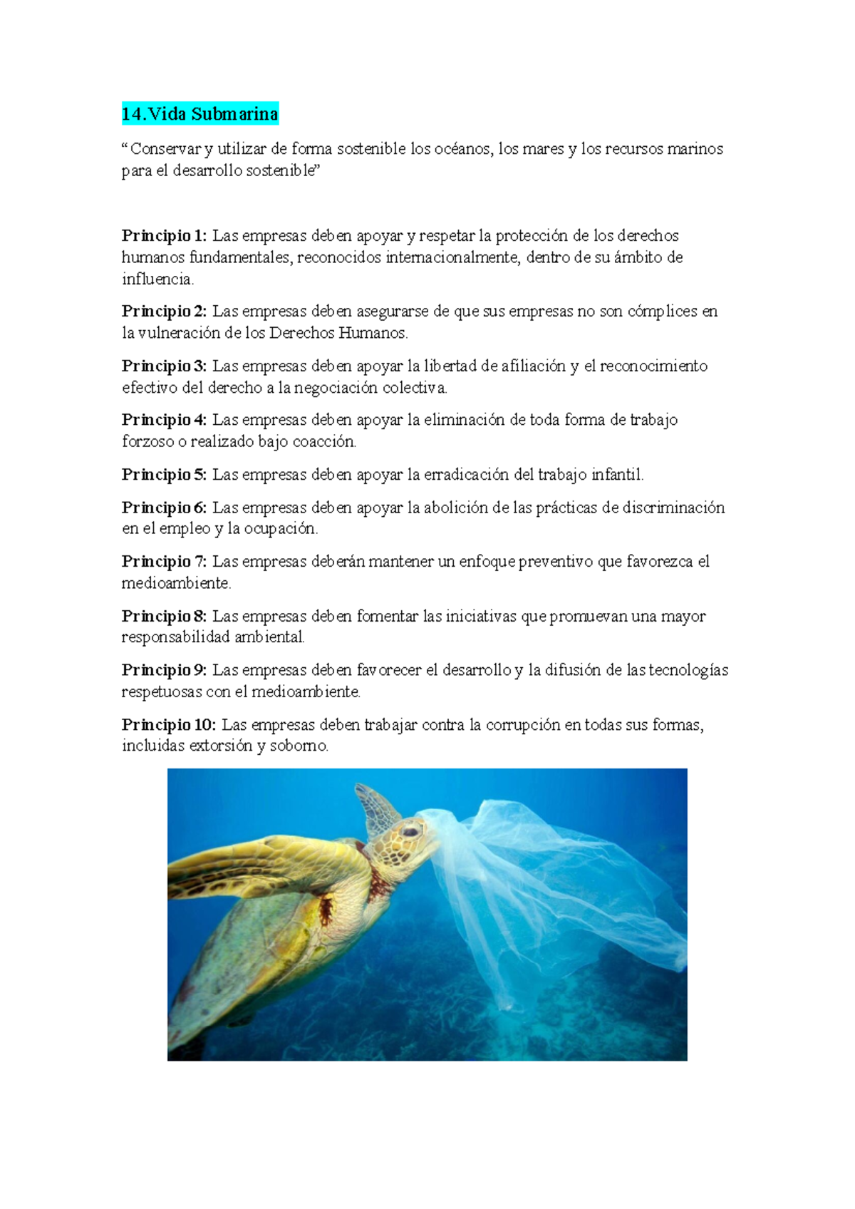 Vida Submarina y Vida de Ecosistemas - 14 Submarina “Conservar y ...