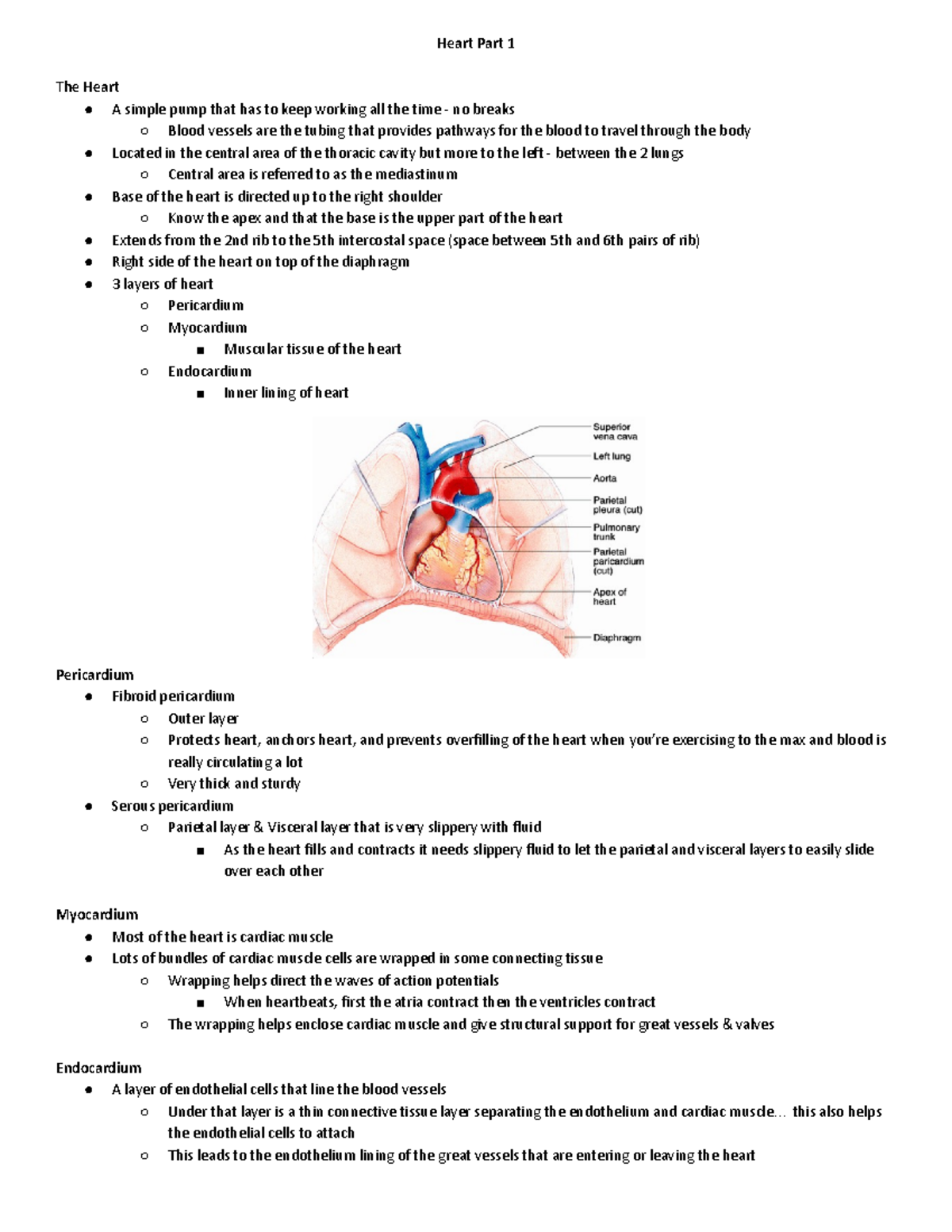 Heart pt. 1 & 2 & 3 lectures - ANP1105 - uOttawa - Studocu