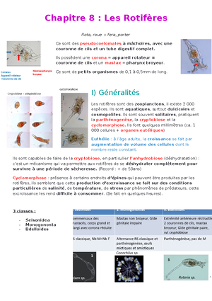 Chapitre 5 les némertes - Chapitre 5 : Les Némertes - Bilatériens ...