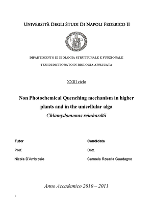 Guide to the Systems Engineering Body of Knowledge (SEBo K) - It is a ...