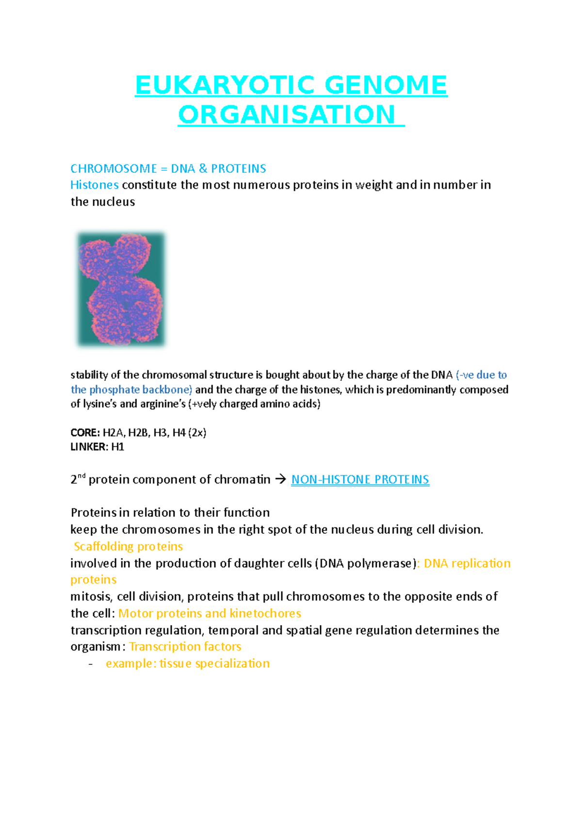 Eukaryotic Genome Organisation - EUKARYOTIC GENOME ORGANISATION ...