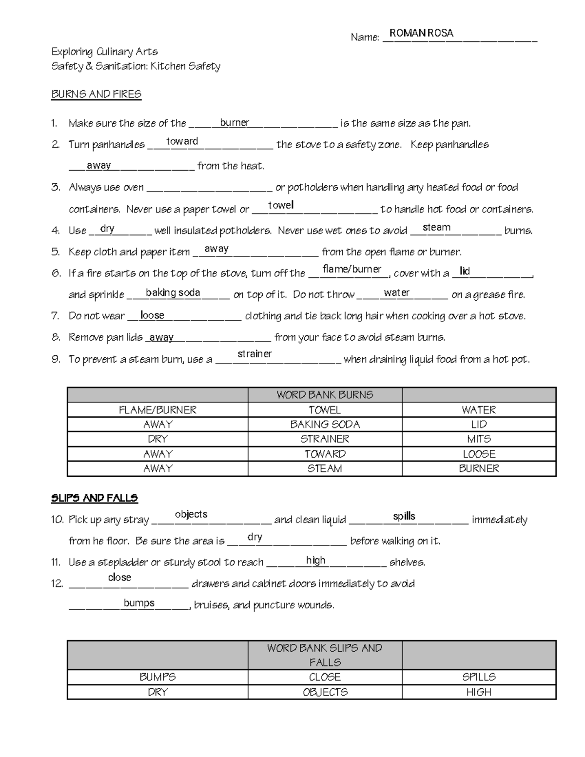 Roman ROSA - Kitchen Safety Notes - Name ...