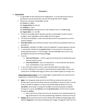 BIO 102: Exam 1 Study Guide - BIO 102 Study Guide (Exam 1) Form and ...