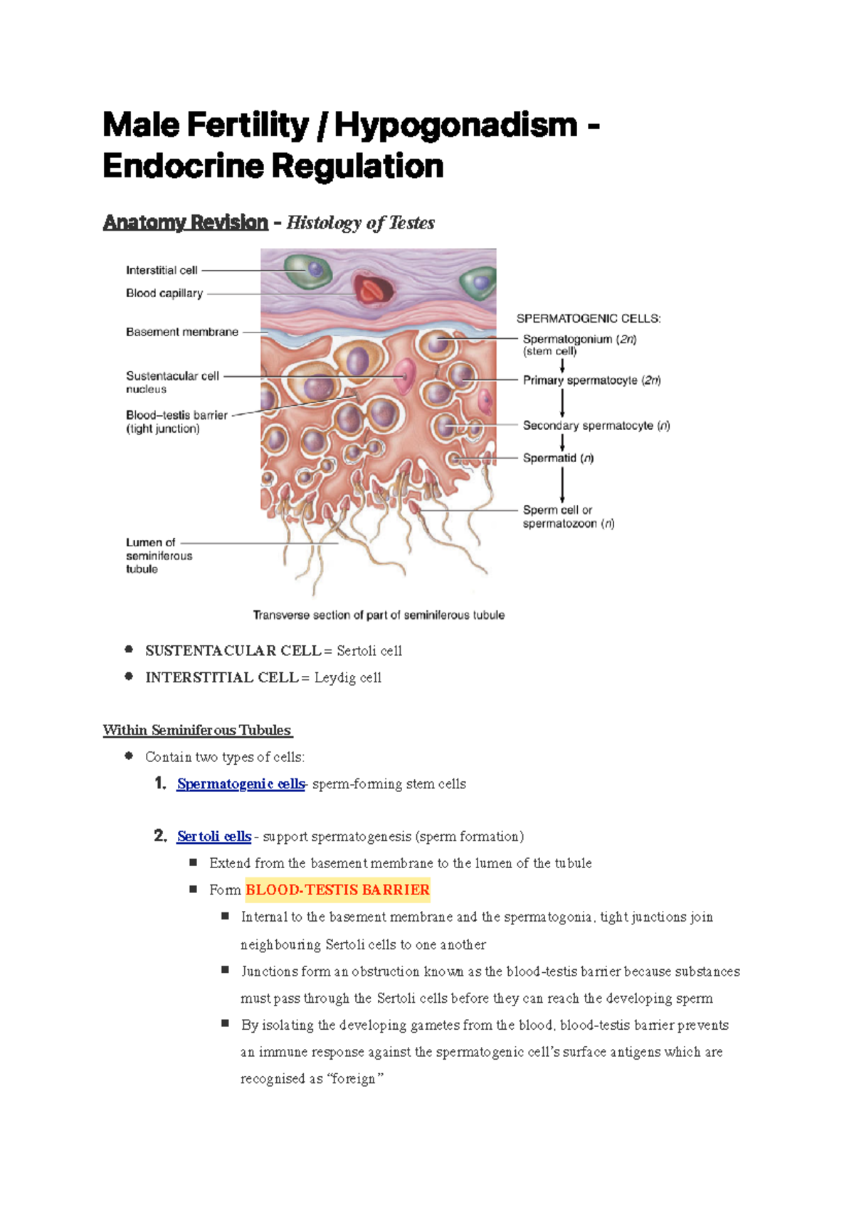 Male Fertility, Hypogonadism - Endocrine Regulation - Ma l e Fe r t i l ...