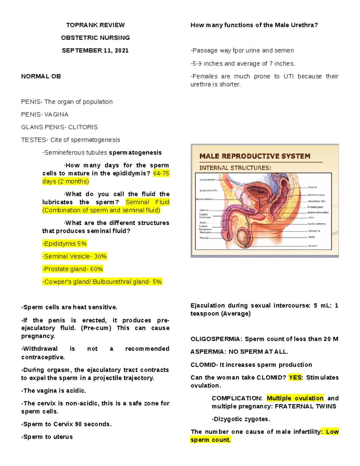 Toprank Review Obstetric Nursing Notes - TOPRANK REVIEW OBSTETRIC ...