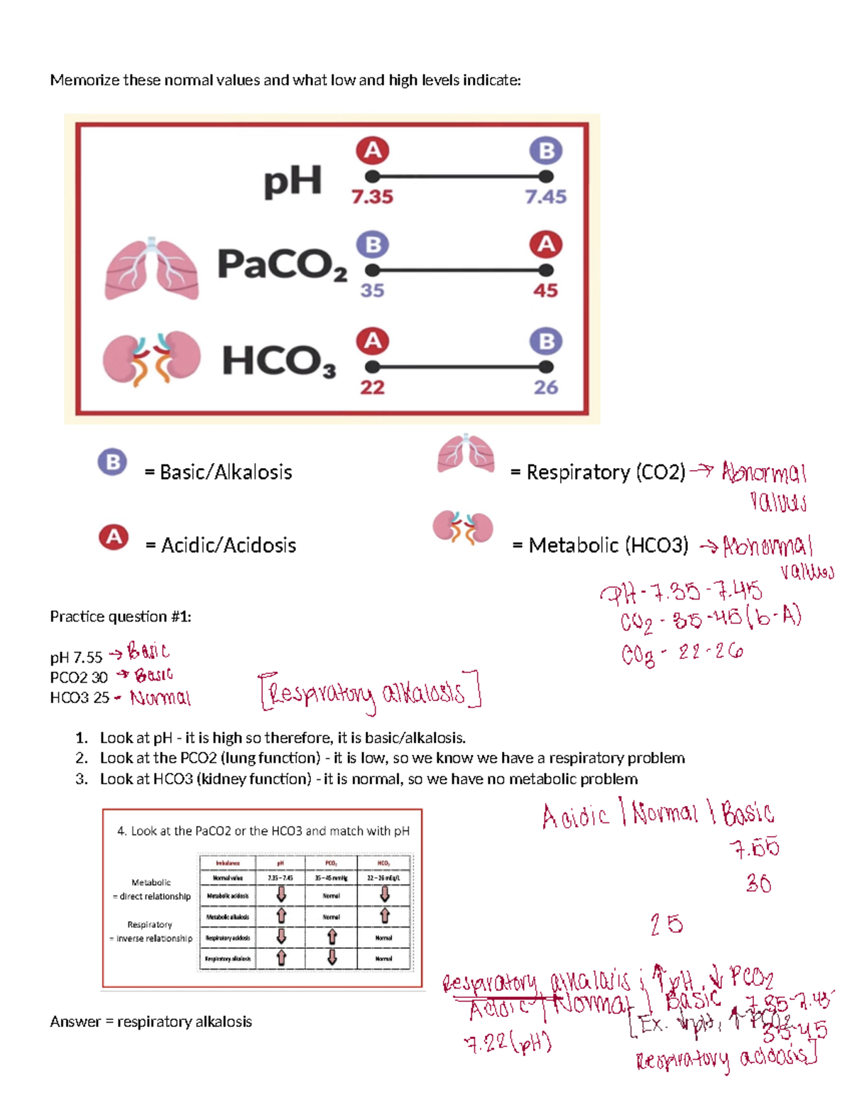 ABG Practice Questions - Memorize these normal values and what low and ...