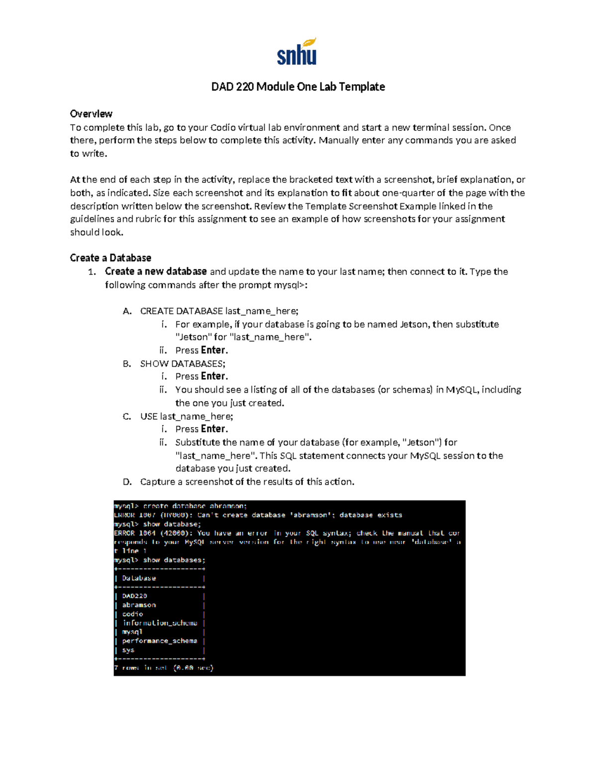 DAD 220 Module One Lab Template - DAD 220 Module One Lab Template ...