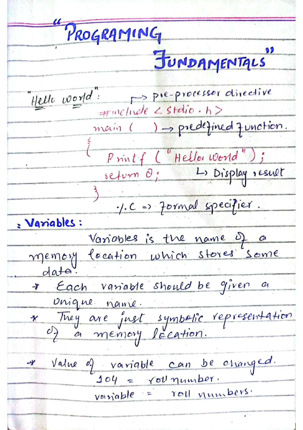 Teacher Notes - this is descriptions - PROGRAMING FUNDAMENTALS Hello ...