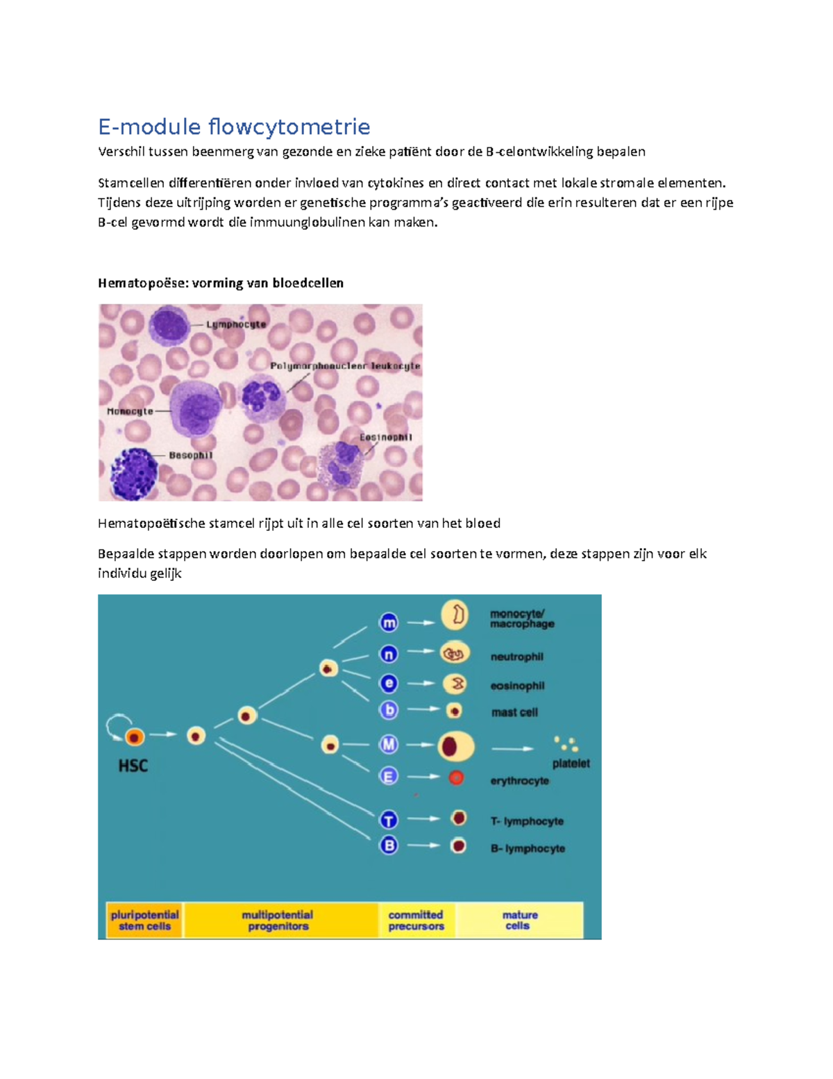 E-module Flowcytometrie - E-module lowcytometrie Verschil tussen ...