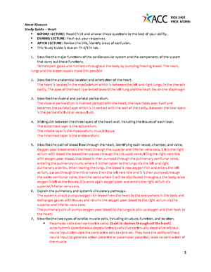 Virus-explorer-worksheet - INTRODUCTION This handout complements the ...