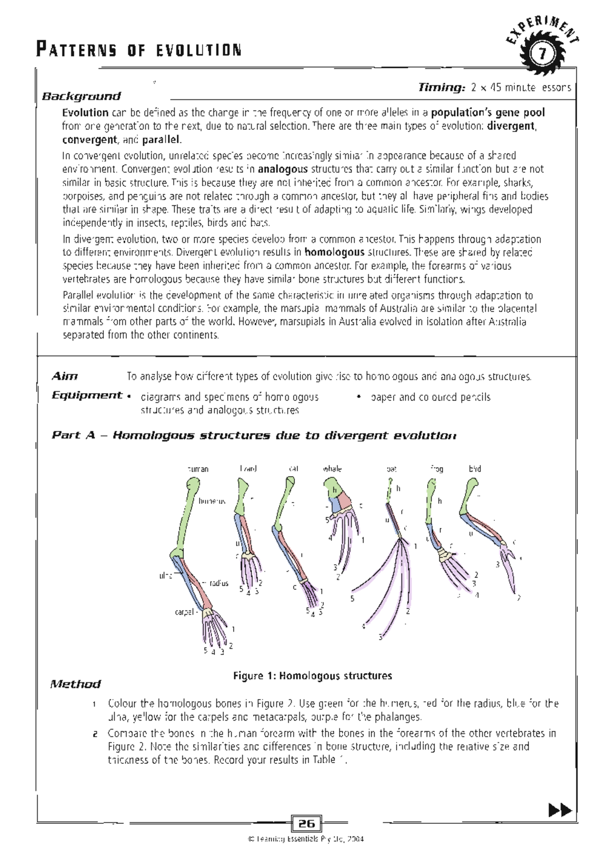 04 - patterns of evolution assignment - PATTERNS OF EVOLUTION Background Timing: 2 x 45 minute ...