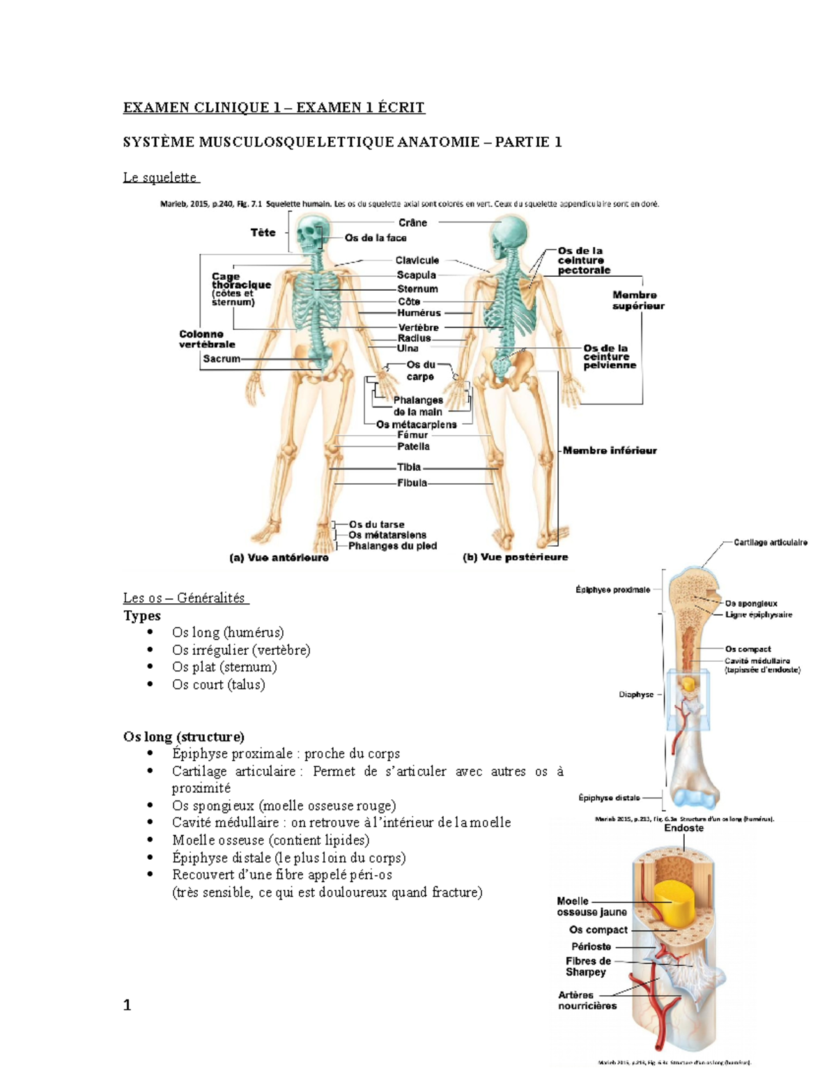 RÉSUMÉ Examen 1 - Résumé - EXAMEN CLINIQUE 1 – EXAMEN 1 ÉCRIT SYSTÈME ...