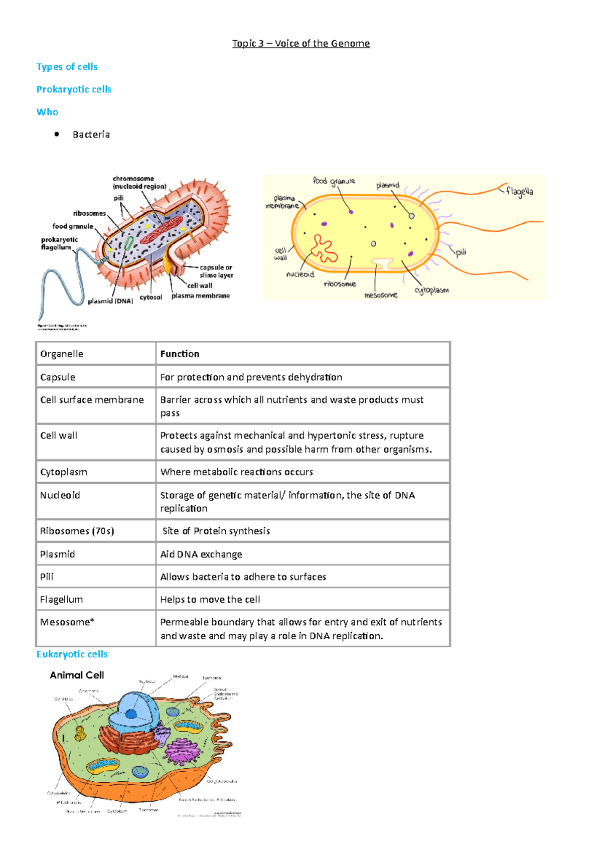 Topic 3 - .................................. - Topic 3 – Voice of the ...