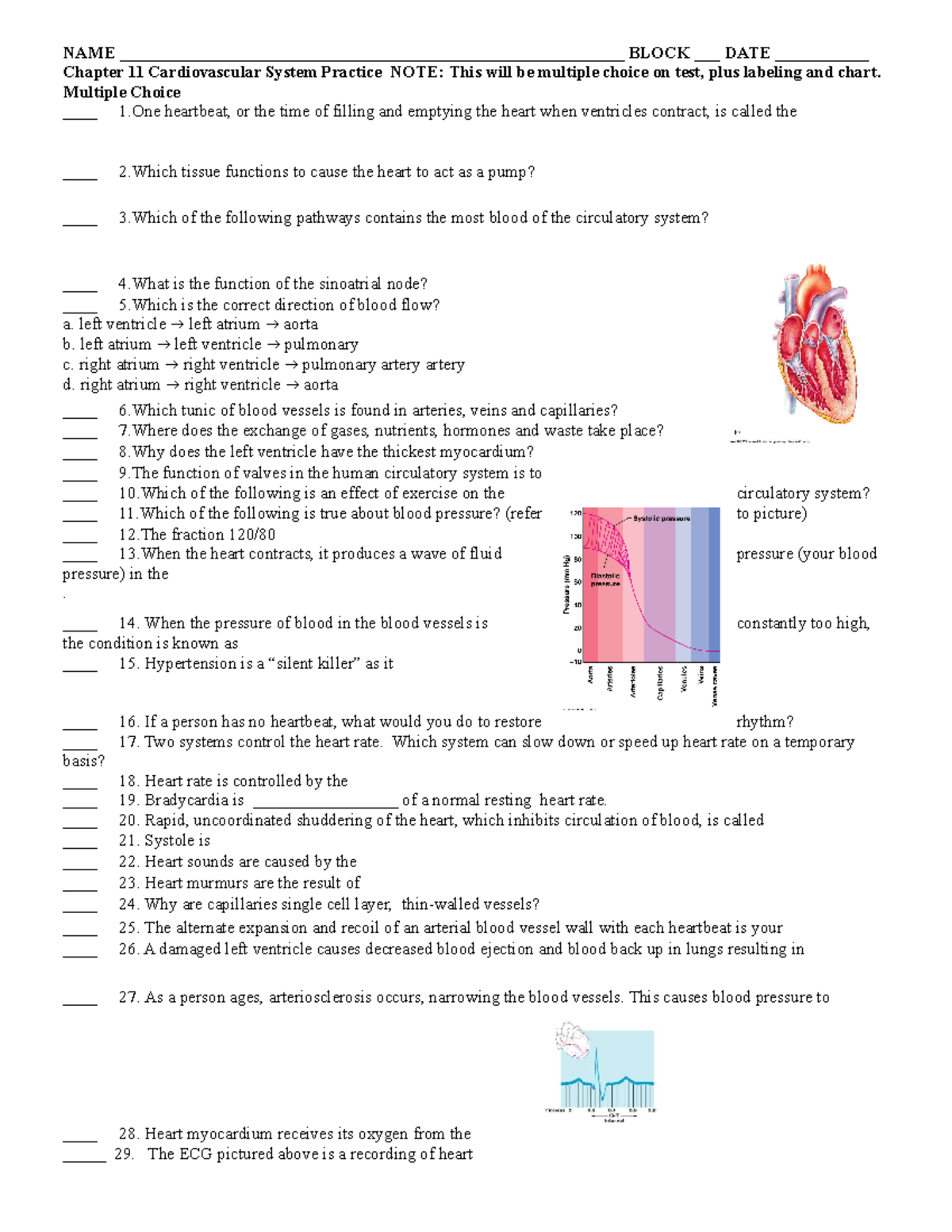 Ch 11 practice test questions Level 2 - NAME - Studocu