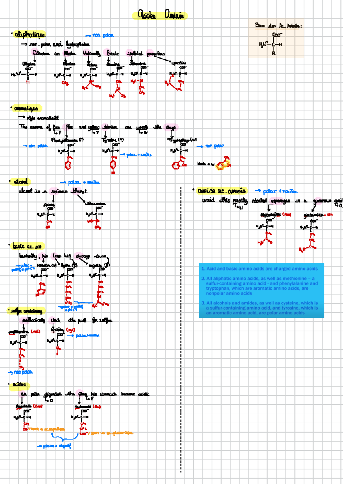 Fiches sur Acides Aminés - Acides Aminés Base des Ac _ Aminés ...