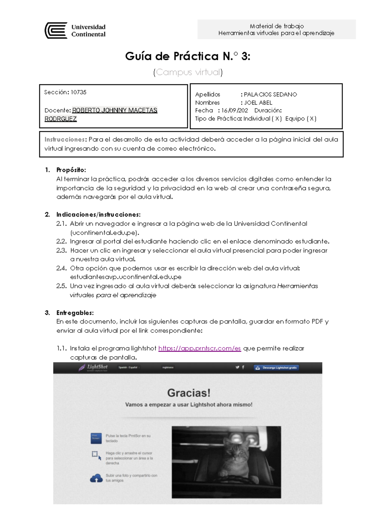 Guia práctica - semana 01-2-3-4 resu - Herramientas virtuales para el aprendizaje GuÌa de Pr ...