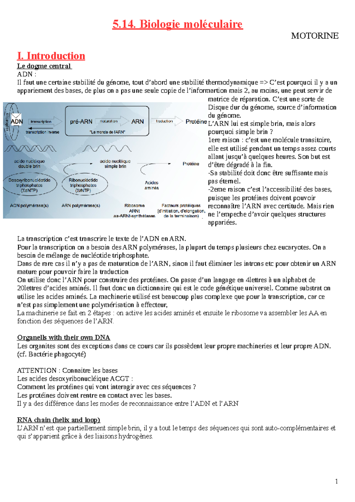 Biologie moléculaire ADN - 5. Biologie moléculaire MOTORINE I ...
