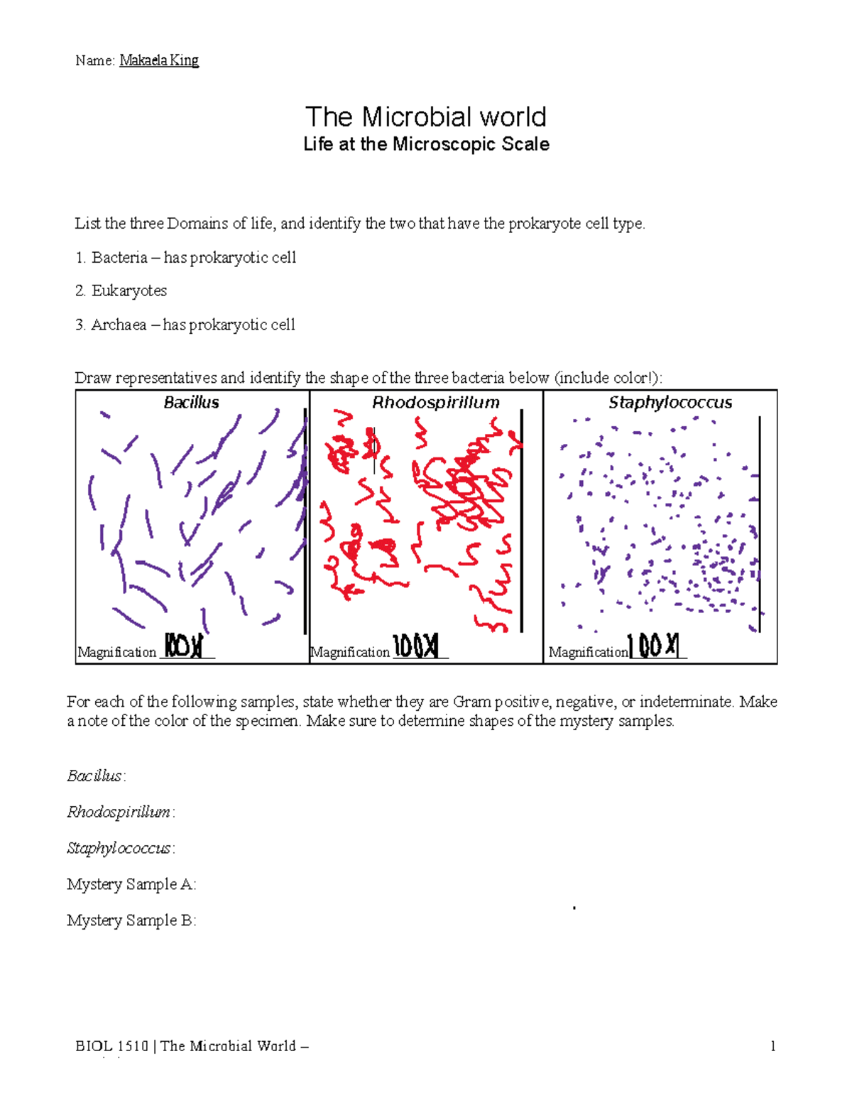 Microbial World Worksheet - Name: Makaela King The Microbial world Life ...