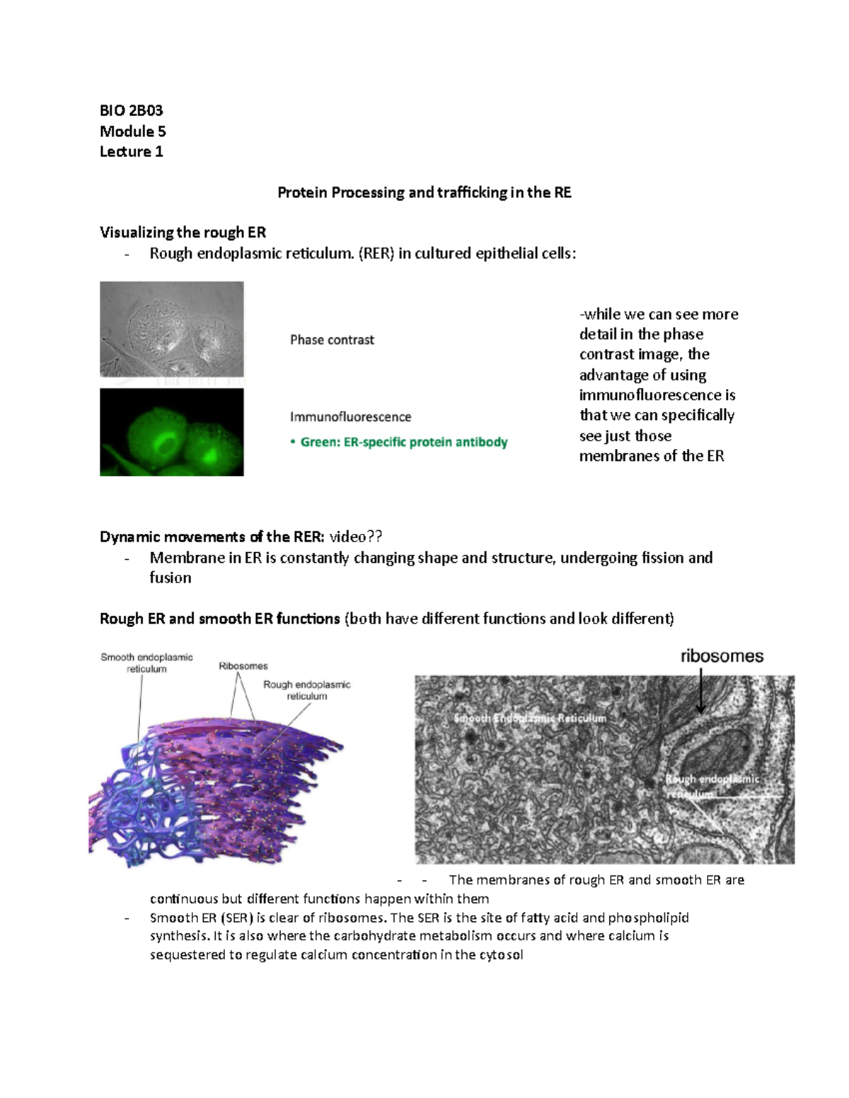 Bio lec 5 - ssociated proteins (MAPs) allows the assembly of the ...